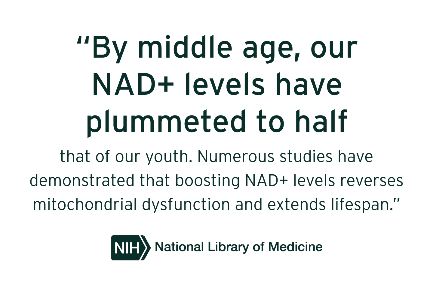 Aramore NAD+ Cell Restoration Cream – Aramore Skincare